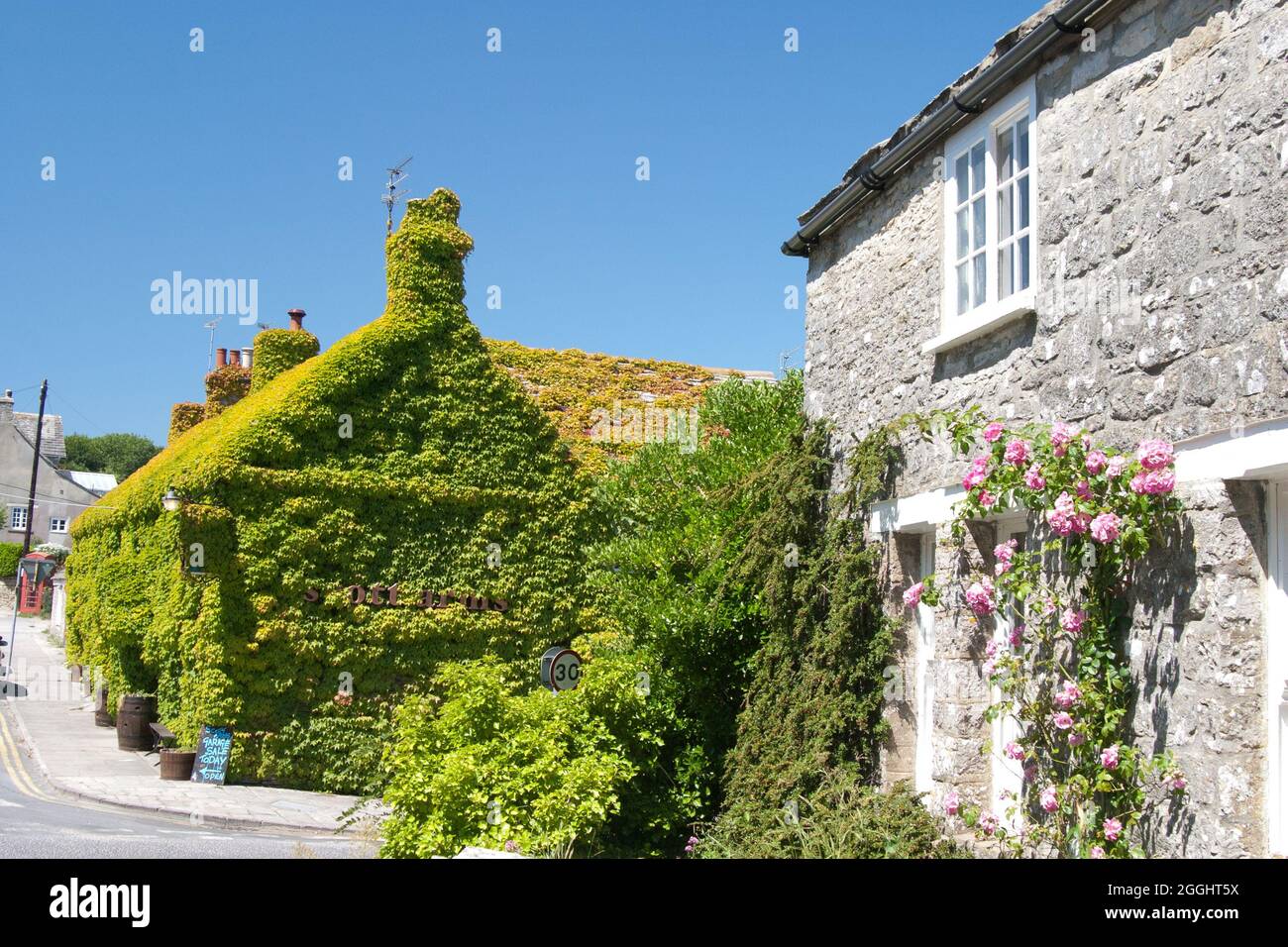 The Scott Arms pub in Kingston in the Purbeck overgrown Virginia ...