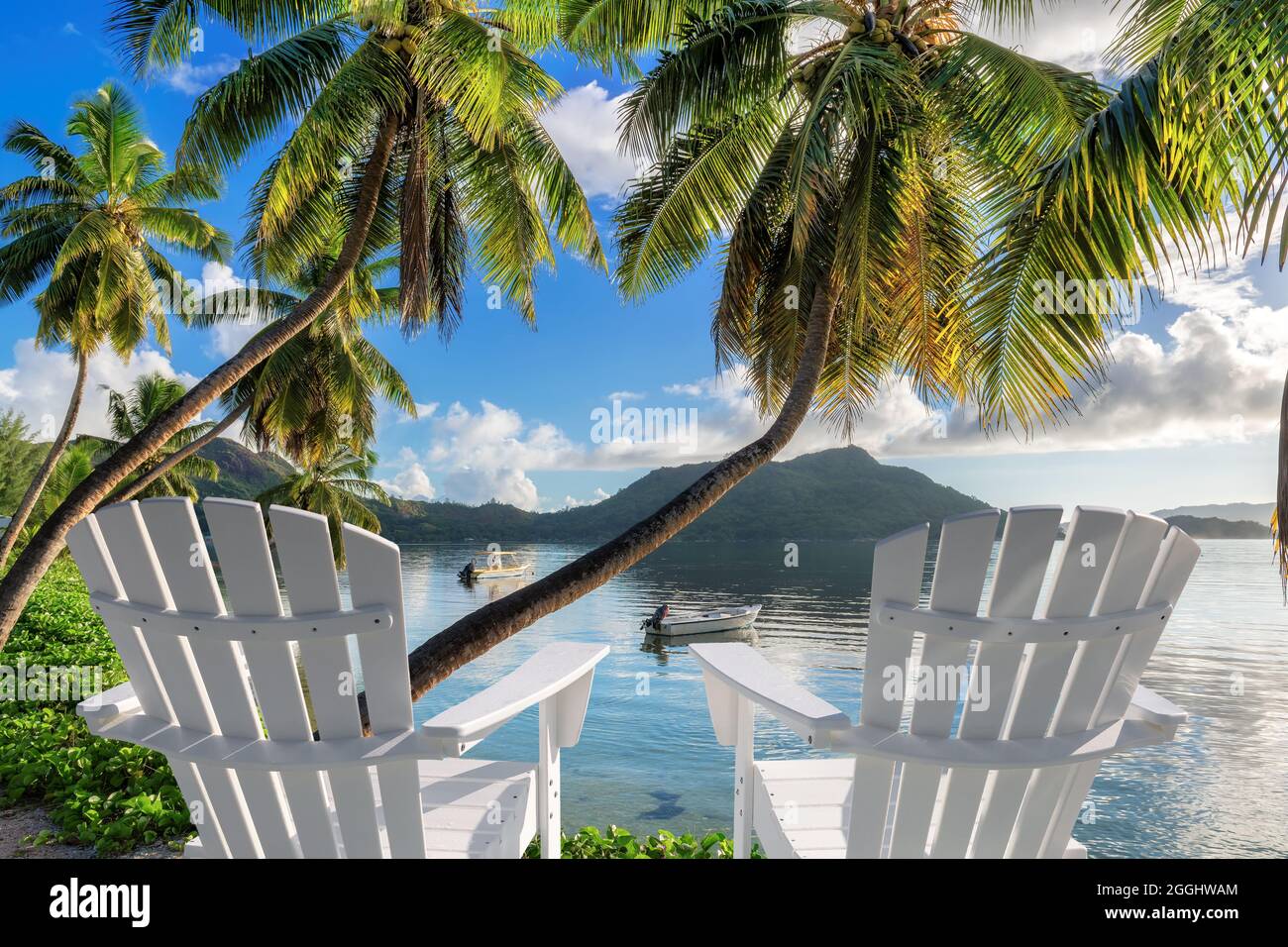 Palms and chairs hi-res stock photography and images - Alamy