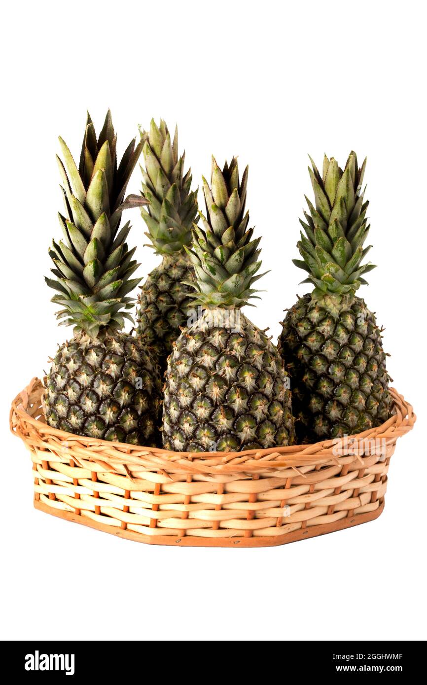 pineapples in wicker basket on isolated white background Stock Photo ...