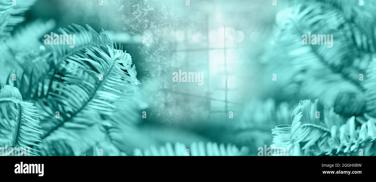 mint blue fern leave with soft light and white snowflake nature banner ...