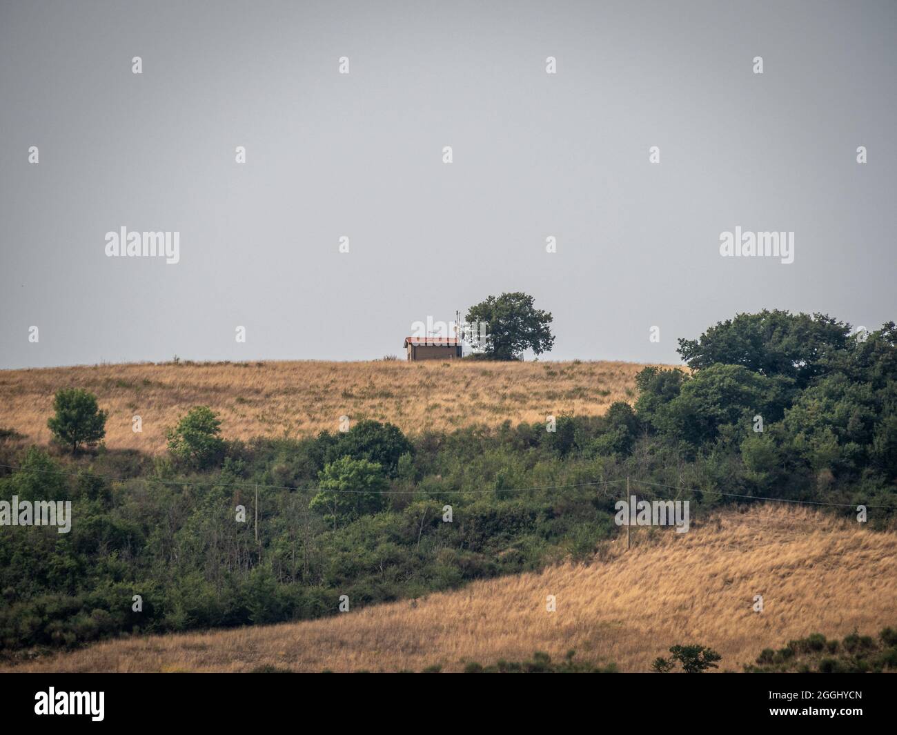 Beautiful view of a landscape with bushes and greenery Stock Photo - Alamy