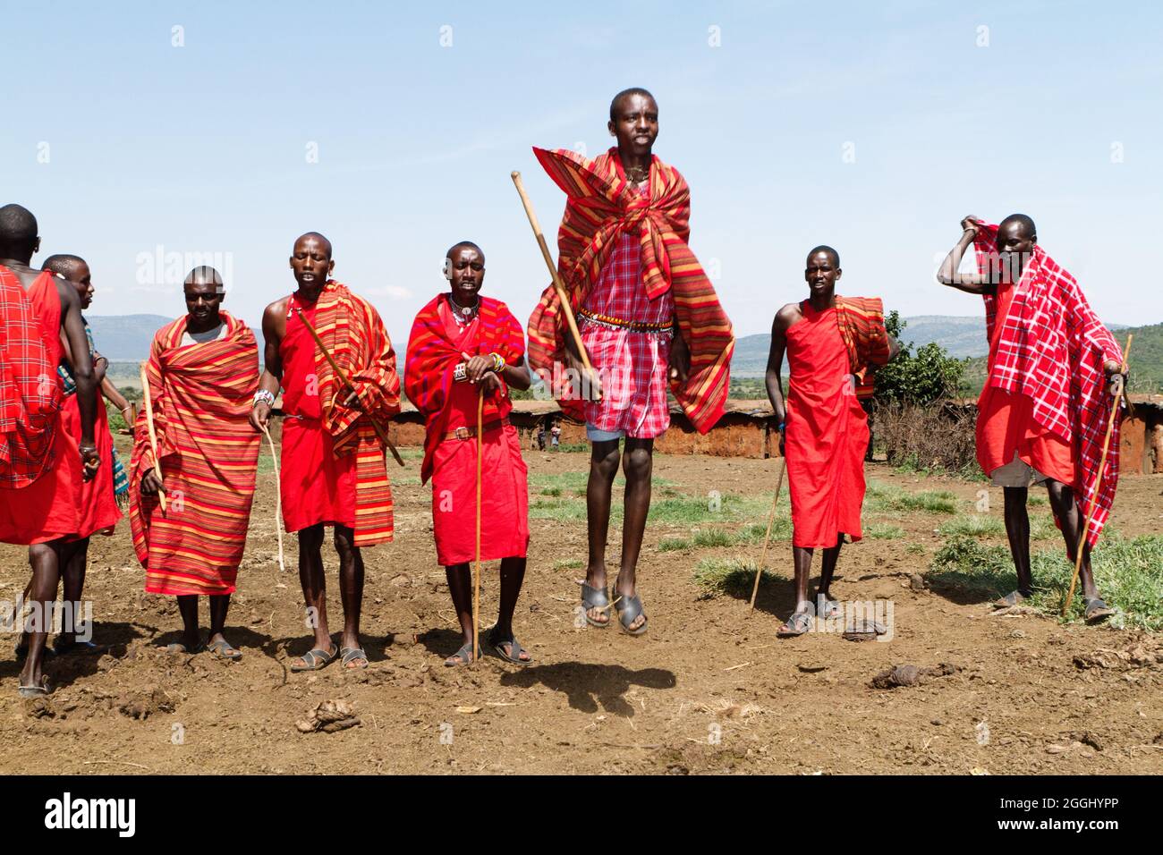 Maasai Warriors Performing Traditional Jumping Dance In The Maasai Mara
