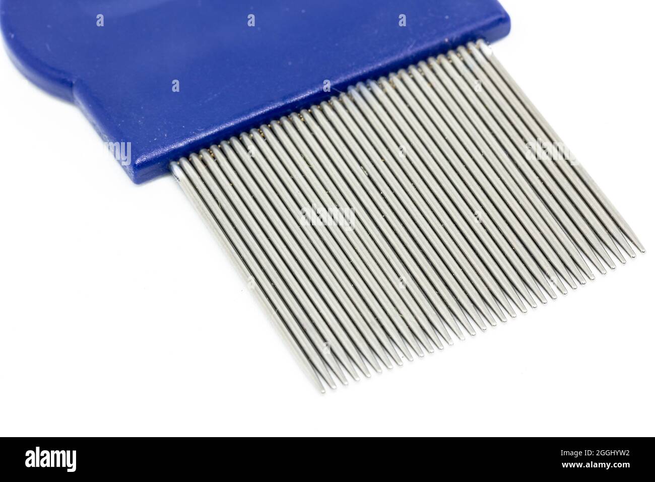 Closeup of a blue flea comb isolated on white background Stock Photo ...