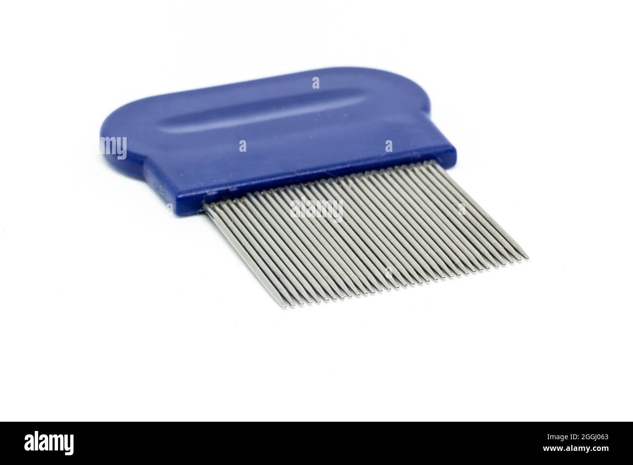 Closeup of a blue flea comb isolated on white background Stock Photo ...