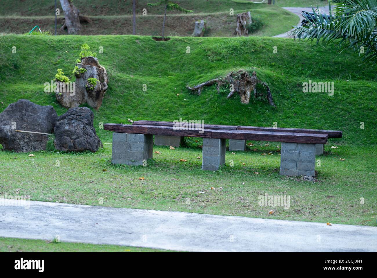 wooden chair in a park with green grass background Stock Photo - Alamy