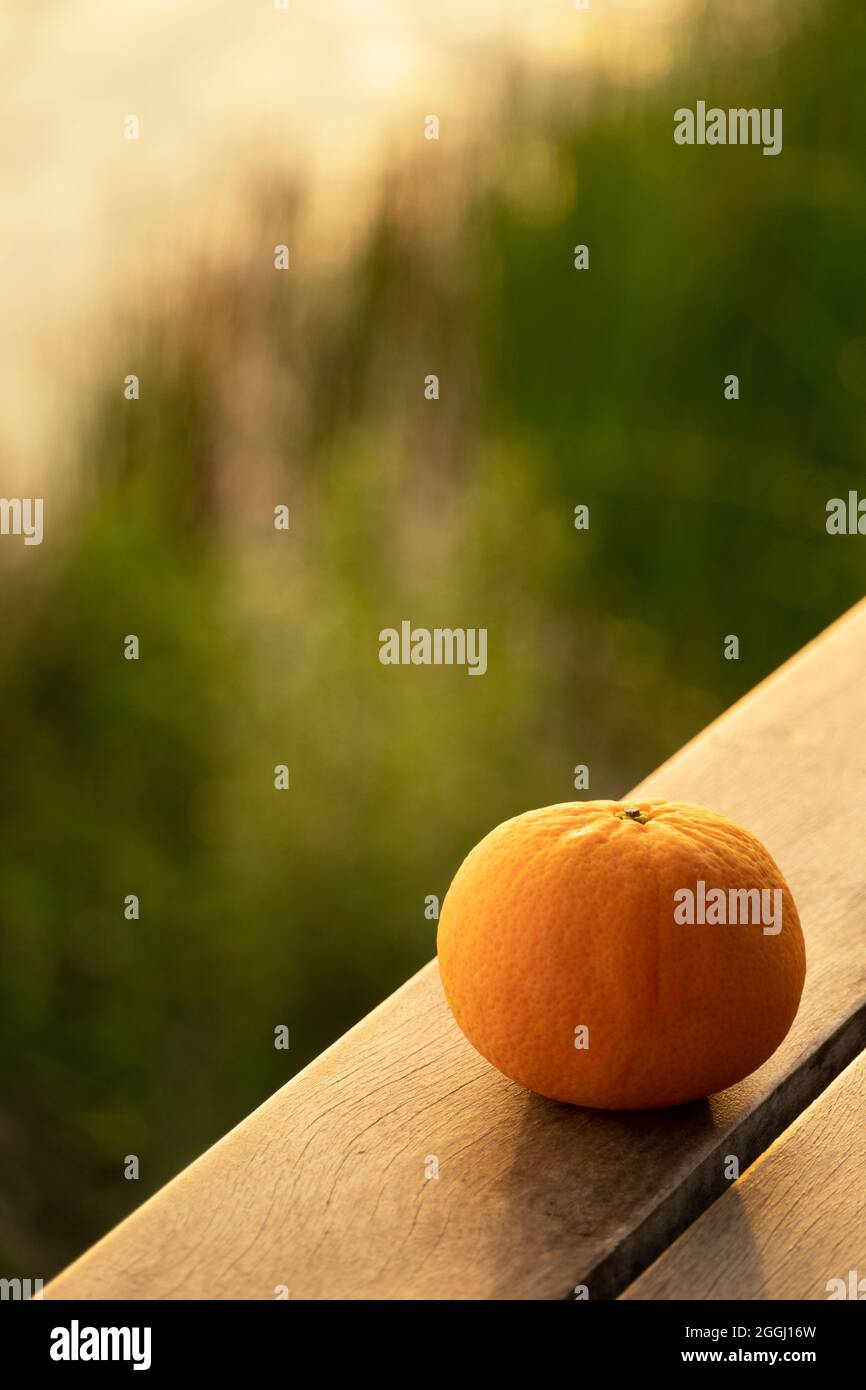 single orange fruit still life on wood floor at soft natural sunset ...
