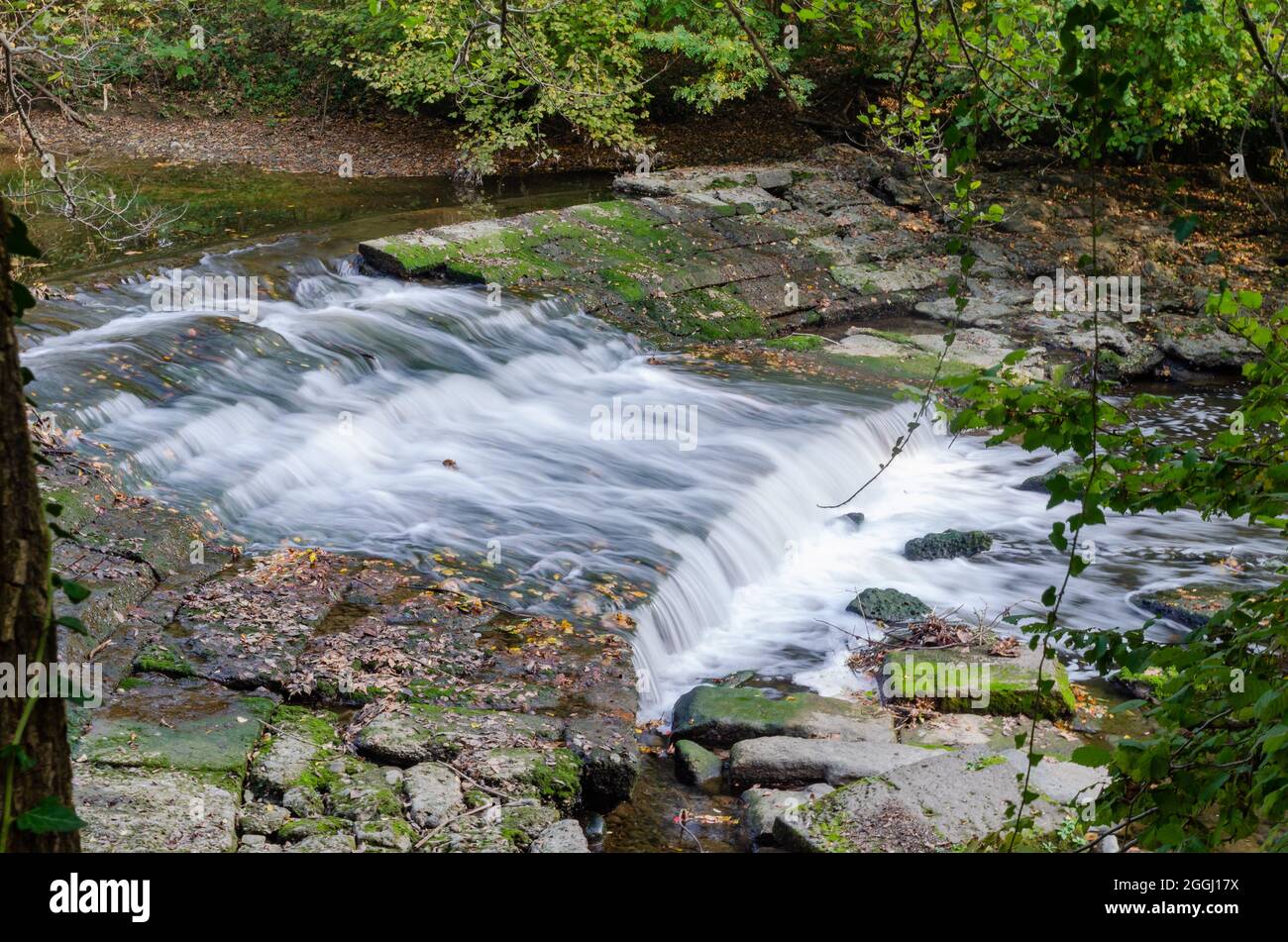 Little waterfall in the woods Stock Photo - Alamy