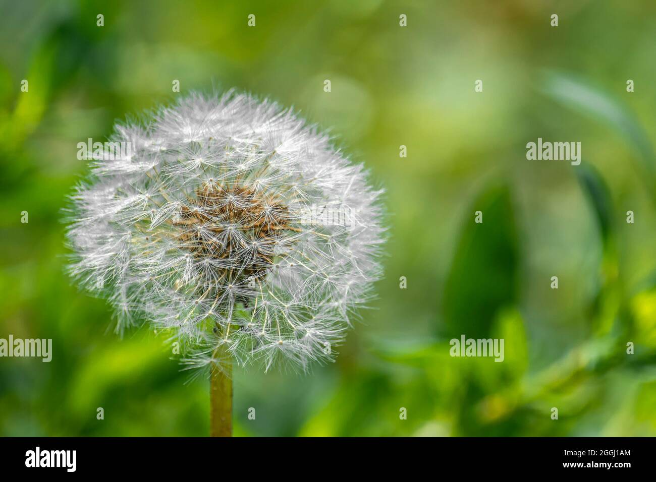 Outdoors, day light Rural scene Stock Photo - Alamy