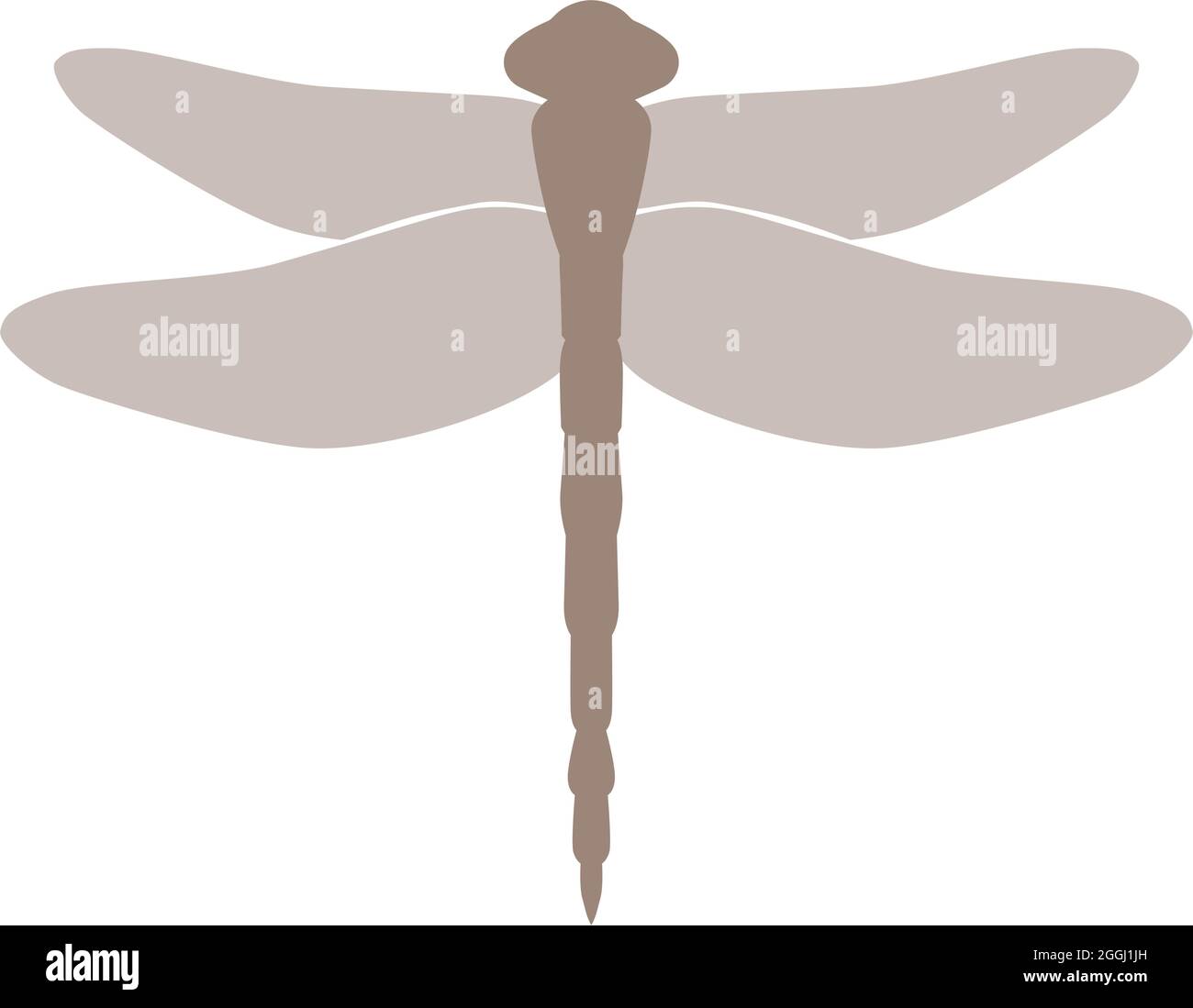 Biology aerial Stock Vector Images - Alamy