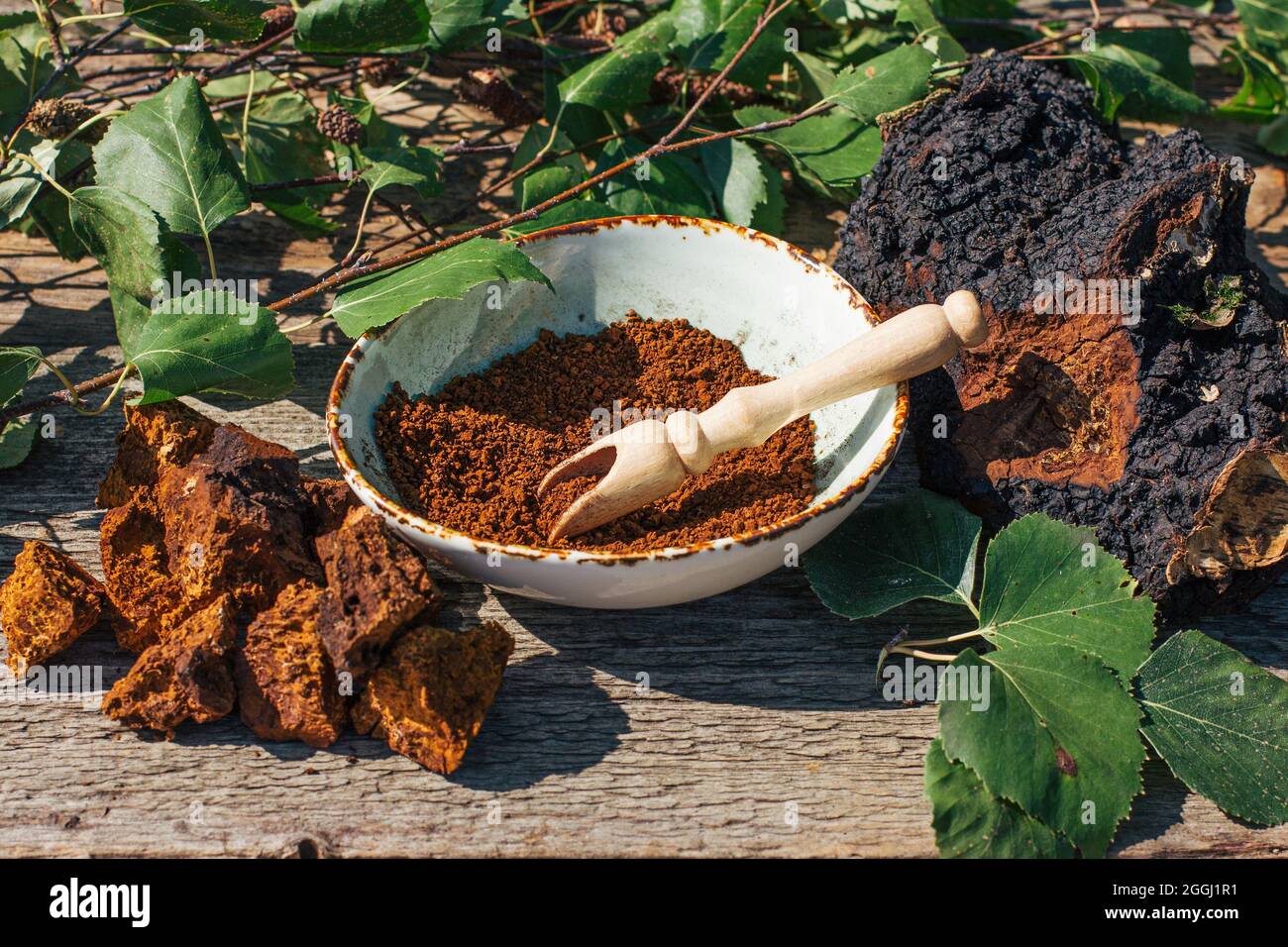 Chaga tea - a strong antioxidant, boosts immune system. Healthy pure ...
