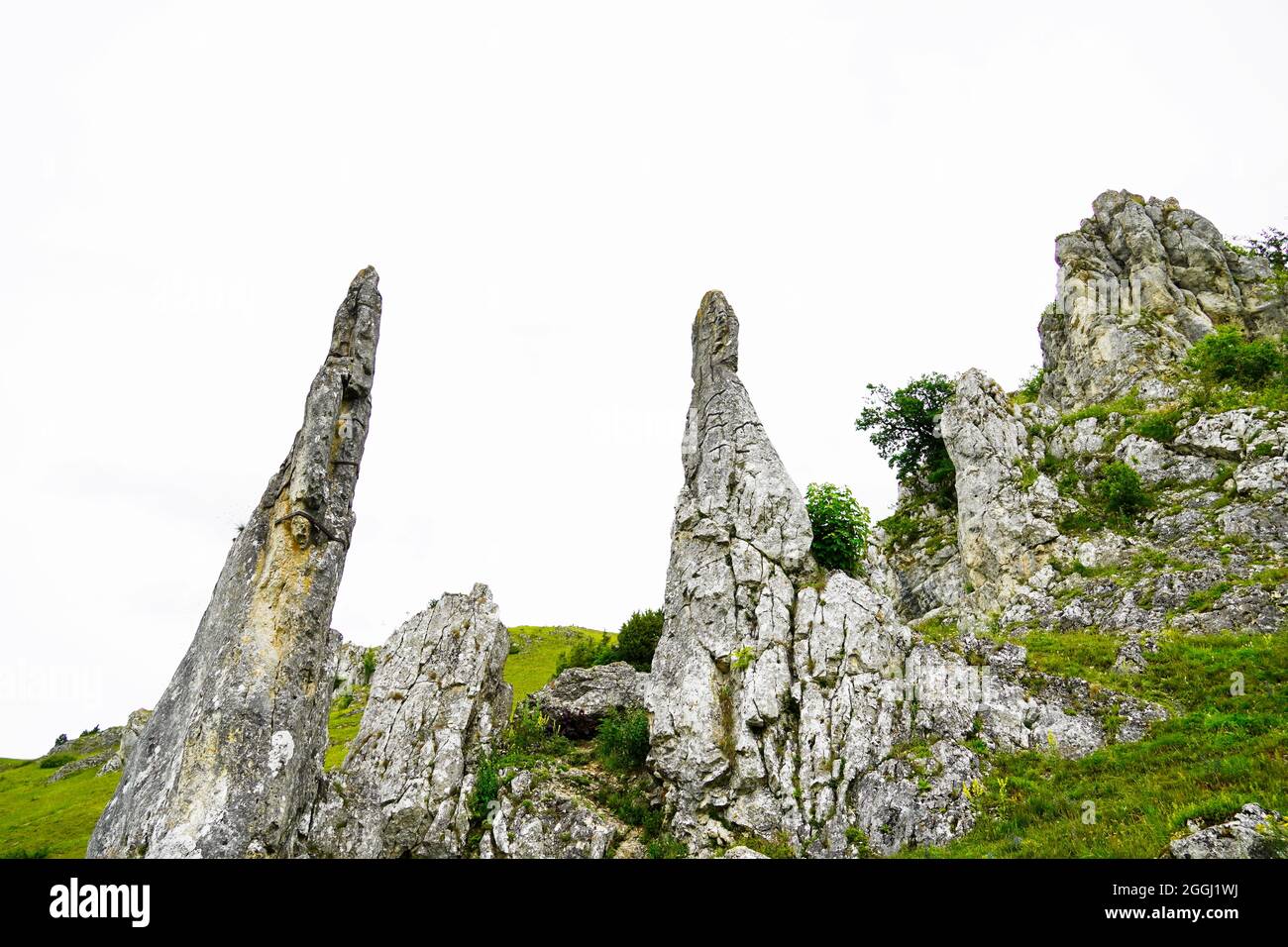 Eselsburger Tal, nature reserve in Germany. Green landscape with rocks ...