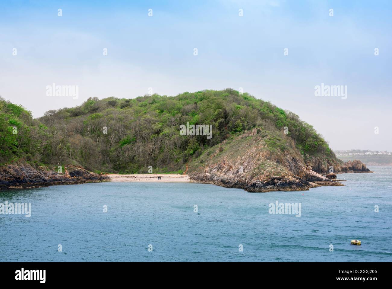 Churston Cove, view of Churston Cove with the ancient woodland of Grove ...