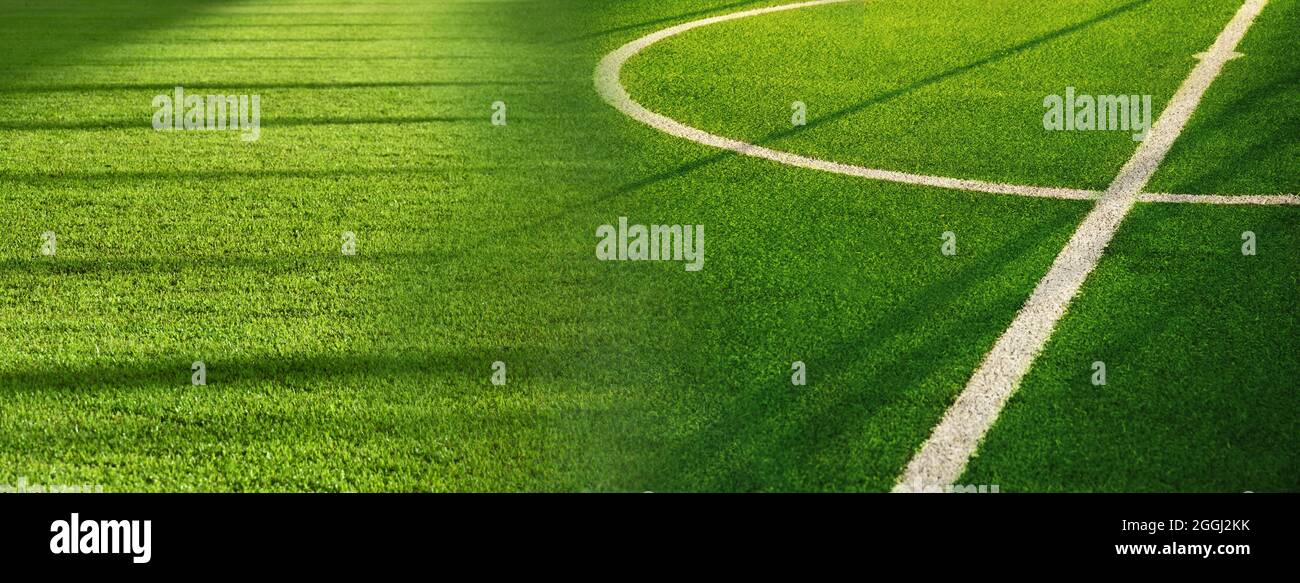 sunlight on natural green grass of football field with white curve line ...