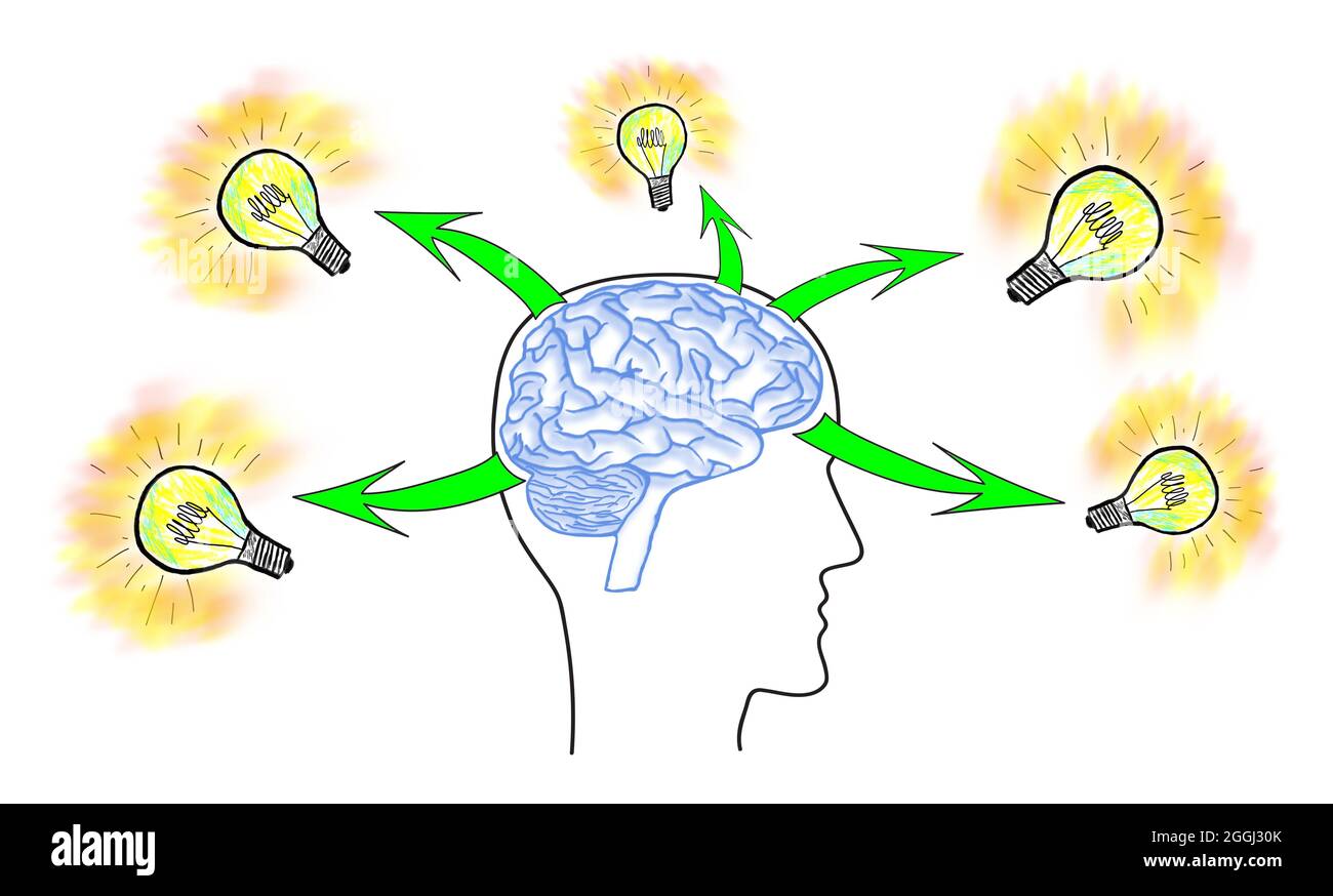 Human brain ideas concept drawn on a white background Stock Photo - Alamy
