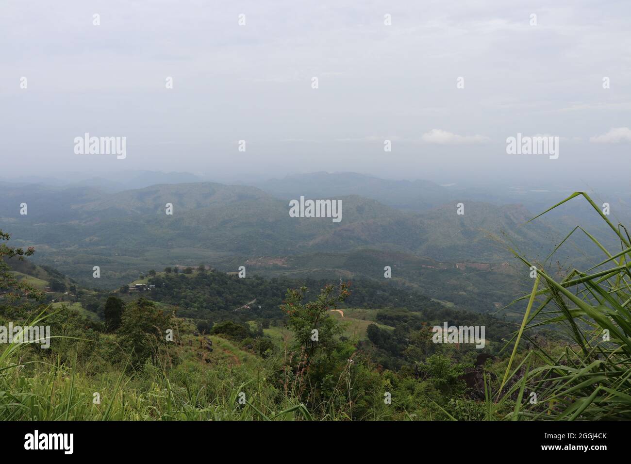 Landscape in cool climate Stock Photo - Alamy