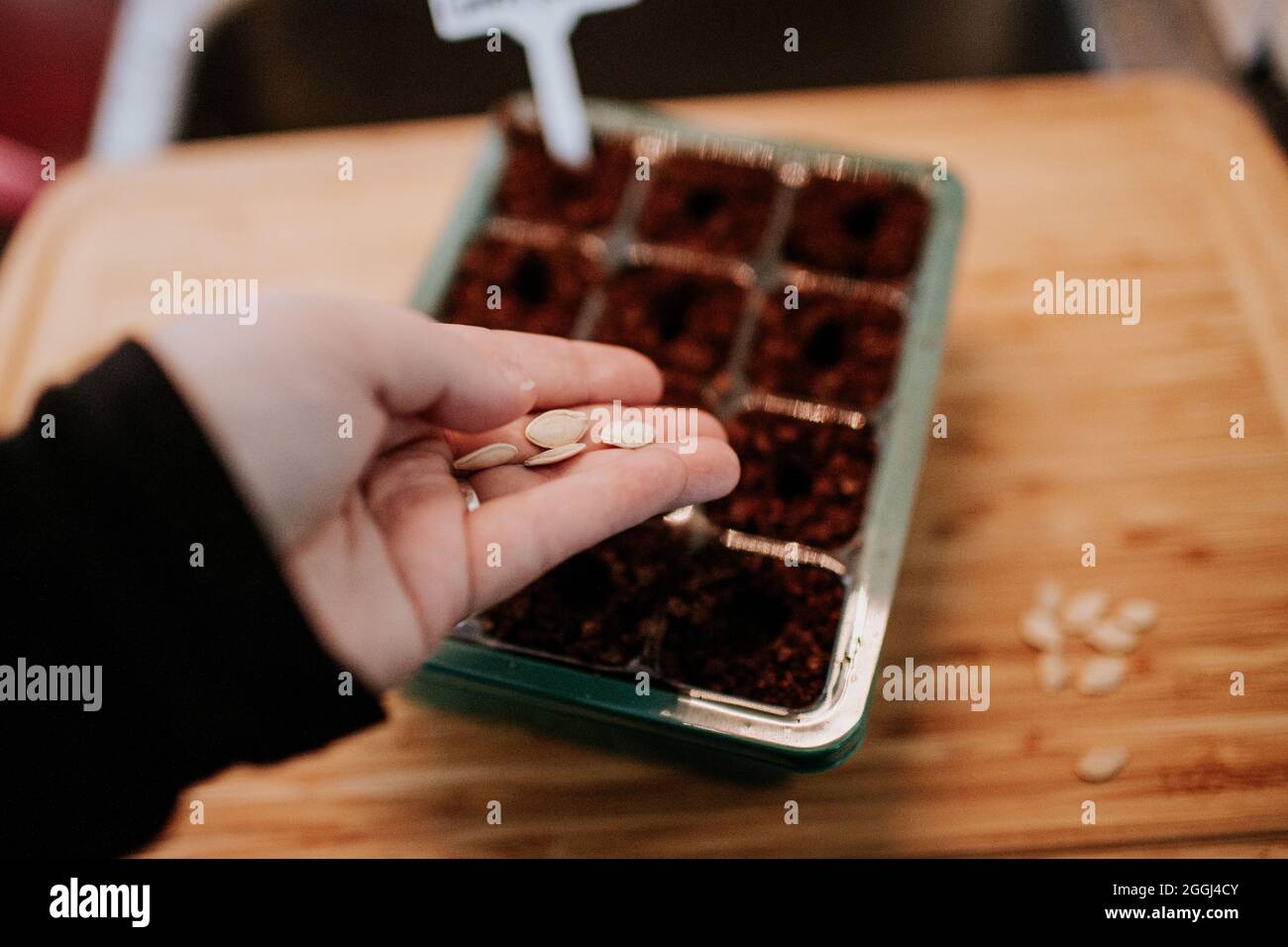 Person garden hi-res stock photography and images - Alamy