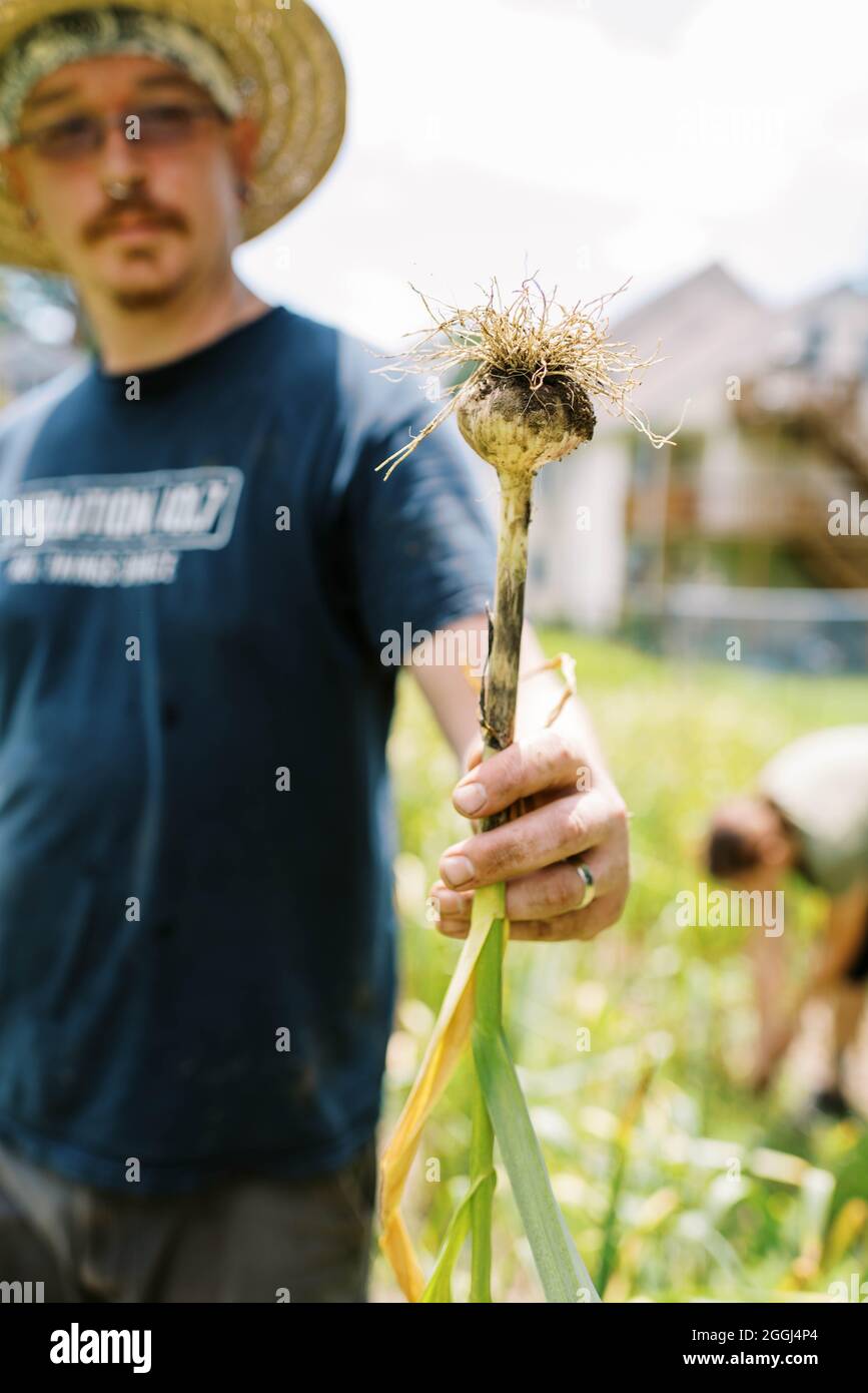 Man garlic hi-res stock photography and images - Alamy