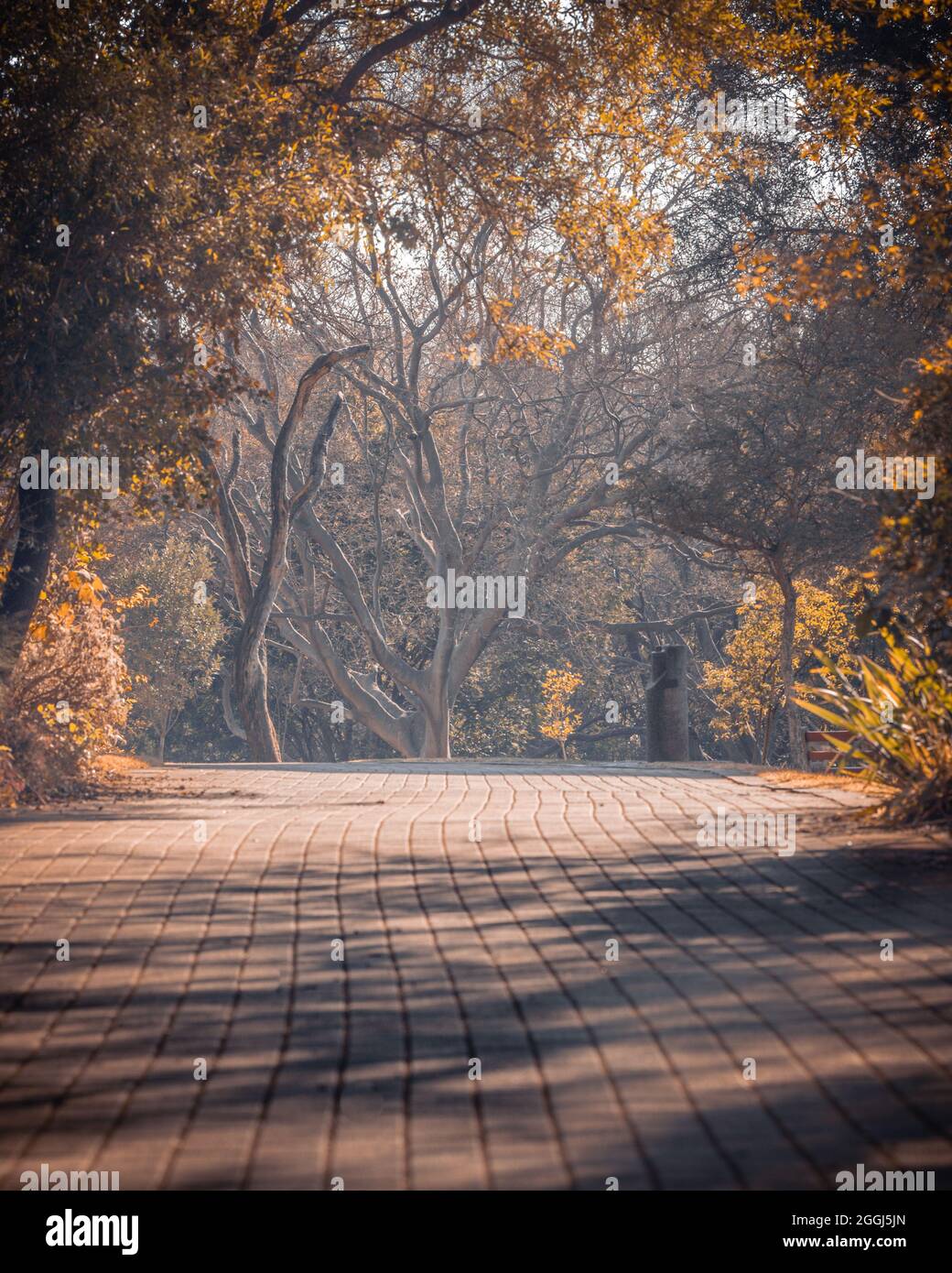 Botanical photographs hi-res stock photography and images - Alamy