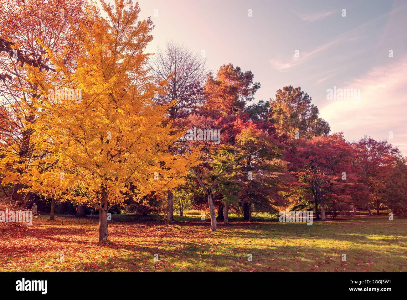 Fall colors in nature hi-res stock photography and images - Alamy