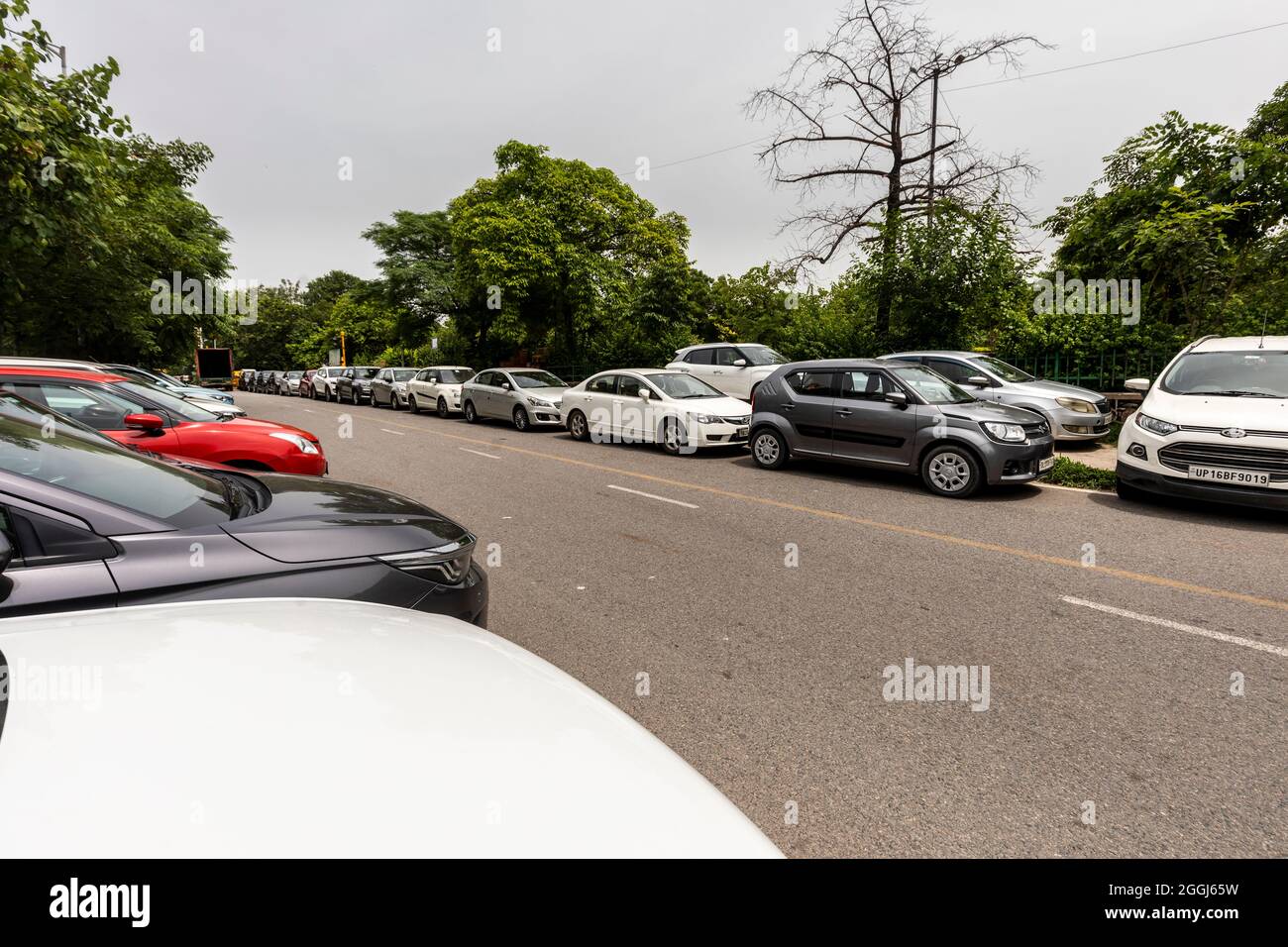 Greenery road side view hi-res stock photography and images - Alamy