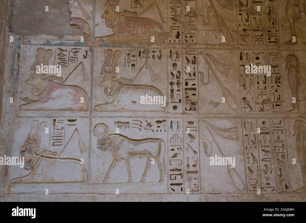 Coloured frieze hi-res stock photography and images - Alamy