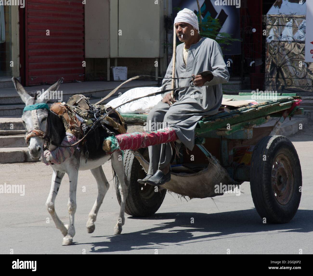 Poor Etyptian man riding a cart drawn by a donkey Stock Photo - Alamy