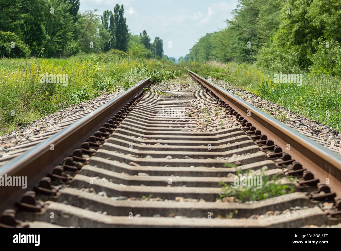 A branch of the railroad goes far into the green grass. The track runs ...