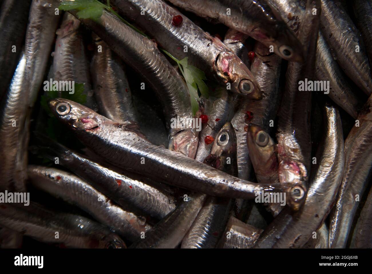 Anchovies in the mediterranean sea hi-res stock photography and images ...