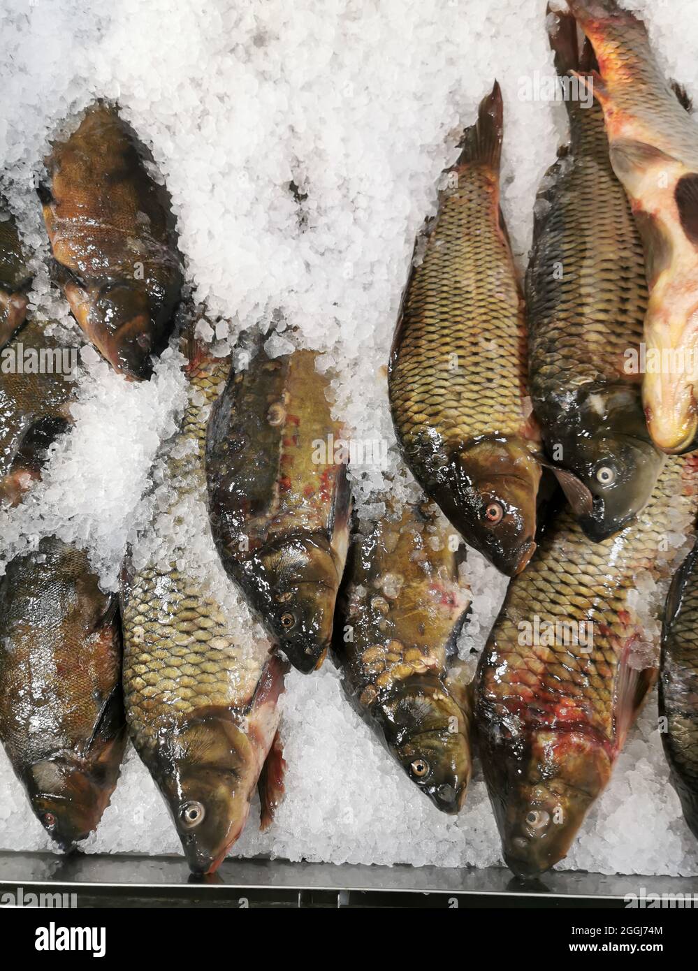 Fresh fish on ice Stock Photo - Alamy