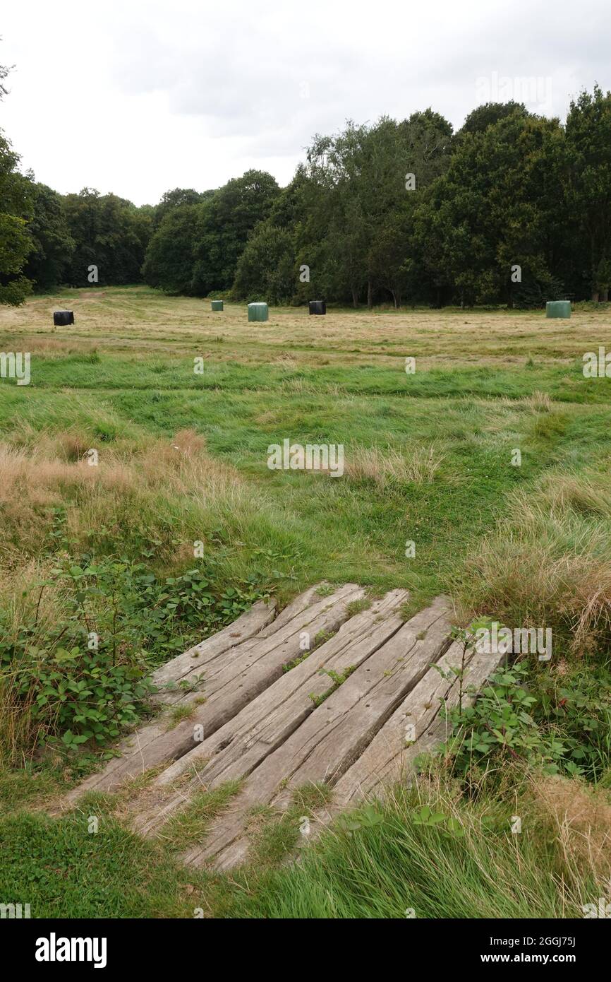 Earlswood, Surrey, UK. 1st September 2021. The popular Earlswood Common ...