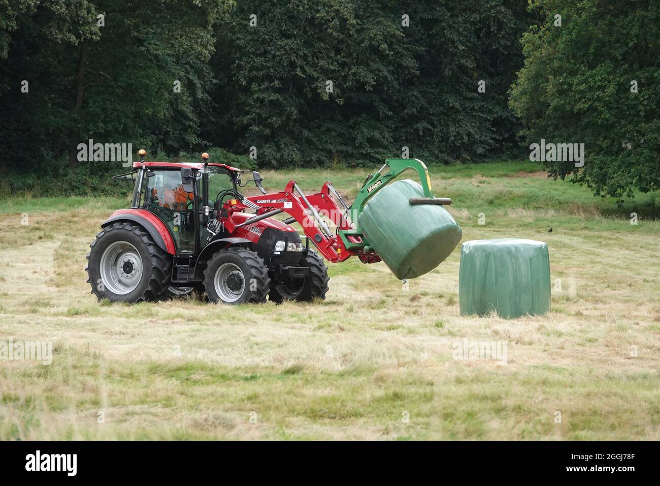Earlswood, Surrey, UK. 1st September 2021. The popular Earlswood Common ...