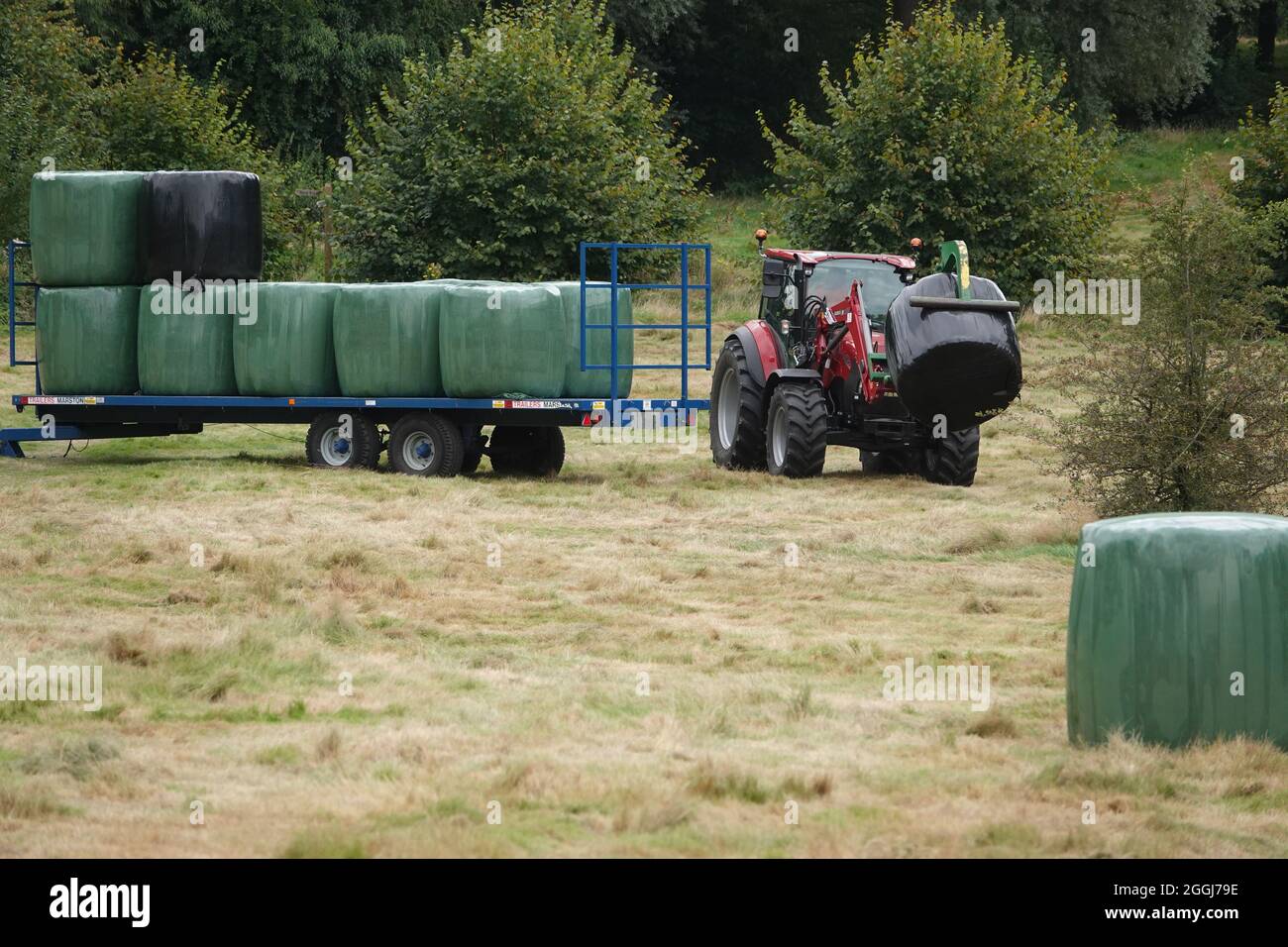 Earlswood, Surrey, UK. 1st September 2021. The popular Earlswood Common ...