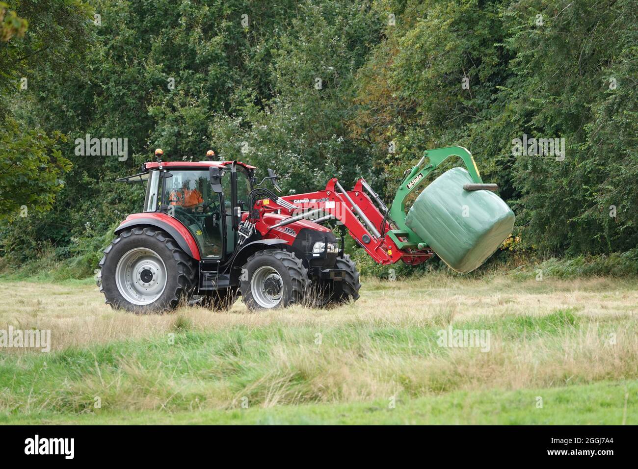 Earlswood, Surrey, UK. 1st September 2021. The popular Earlswood Common ...
