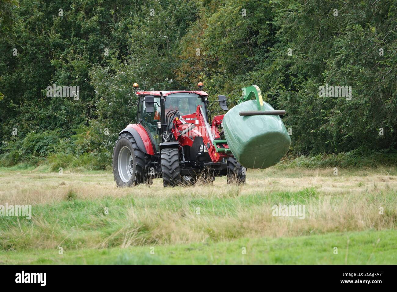 Earlswood, Surrey, UK. 1st September 2021. The popular Earlswood Common ...