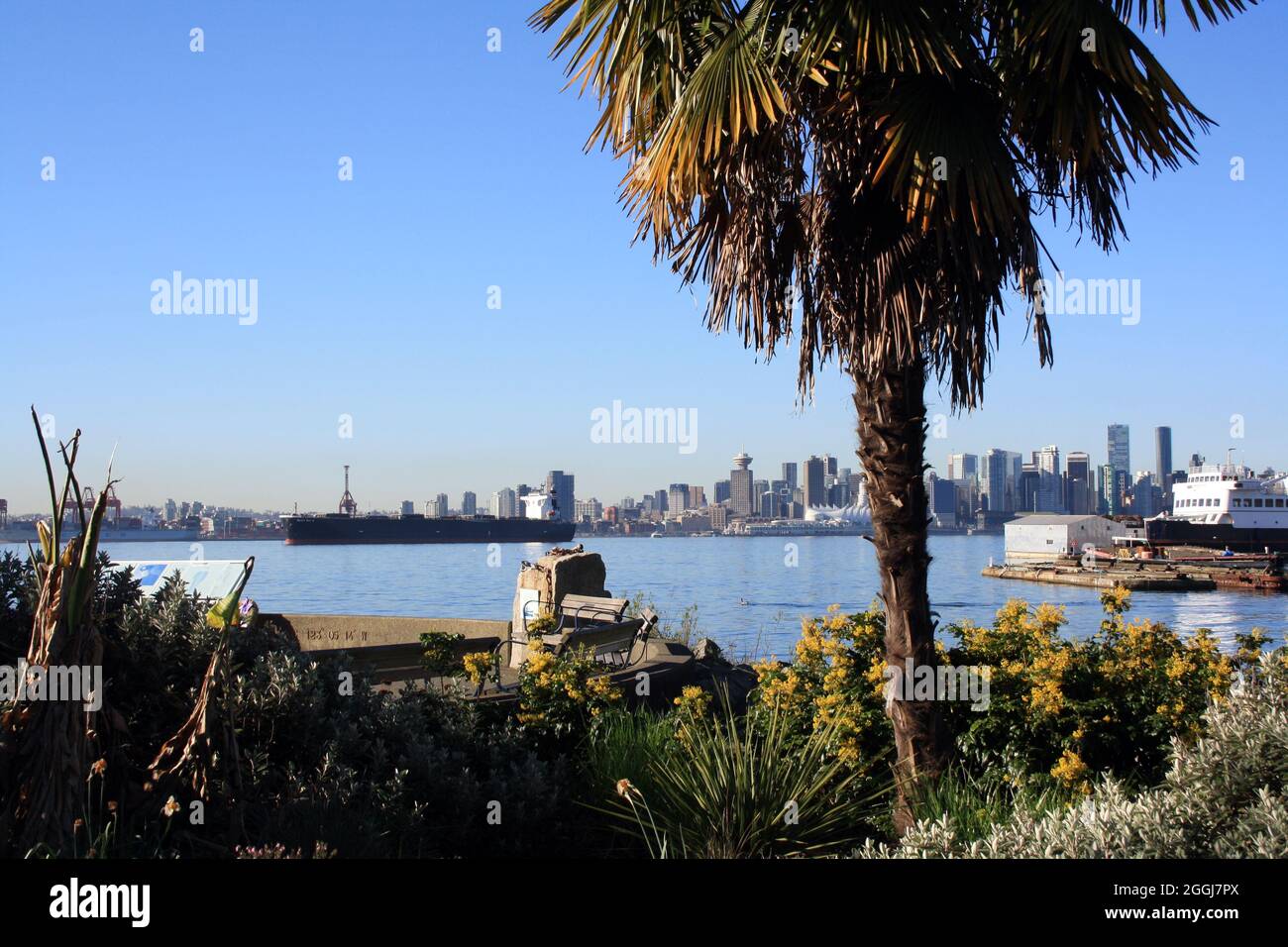 Beautiful view of a beautiful cityscape with many buildings by the sea in Vancouver, Canada ...