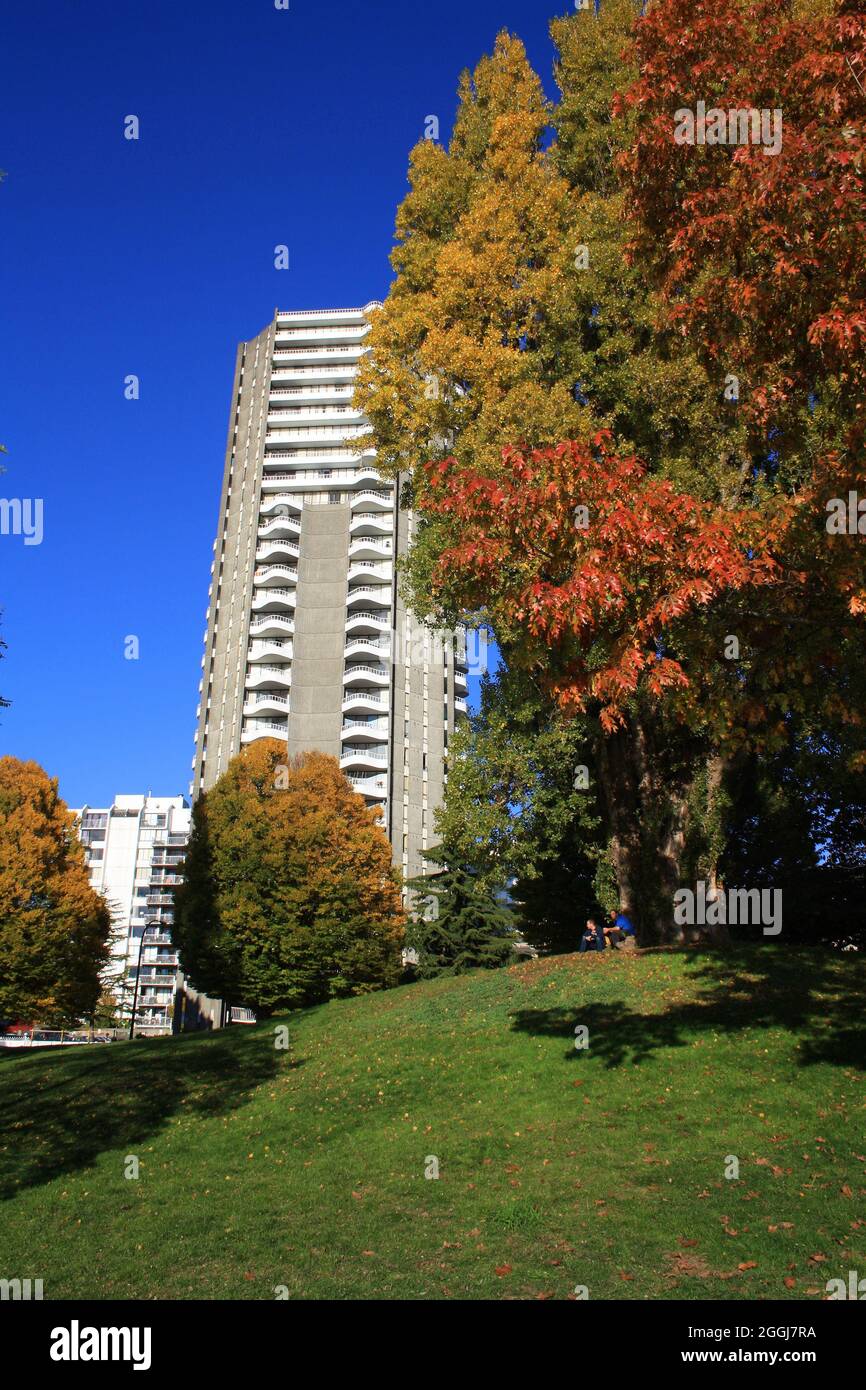 Vertical shot of high-rise buildings surrounded by trees in Vancouver ...