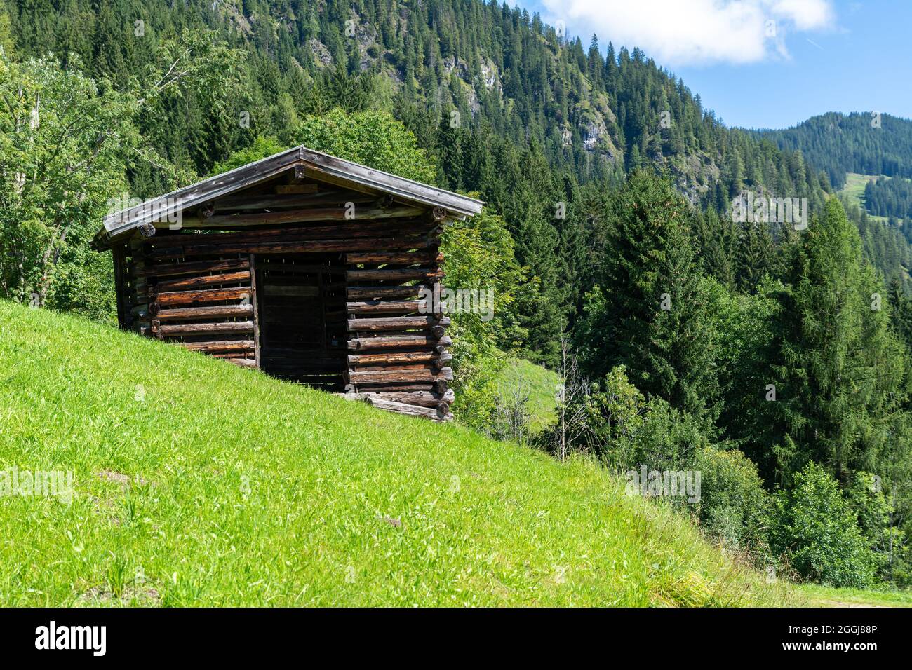 Traditional hay barn on a green meadow in the Tyrolian Alps in Austria ...