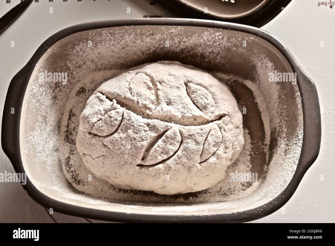 Bread dough in a pot Stock Photo - Alamy