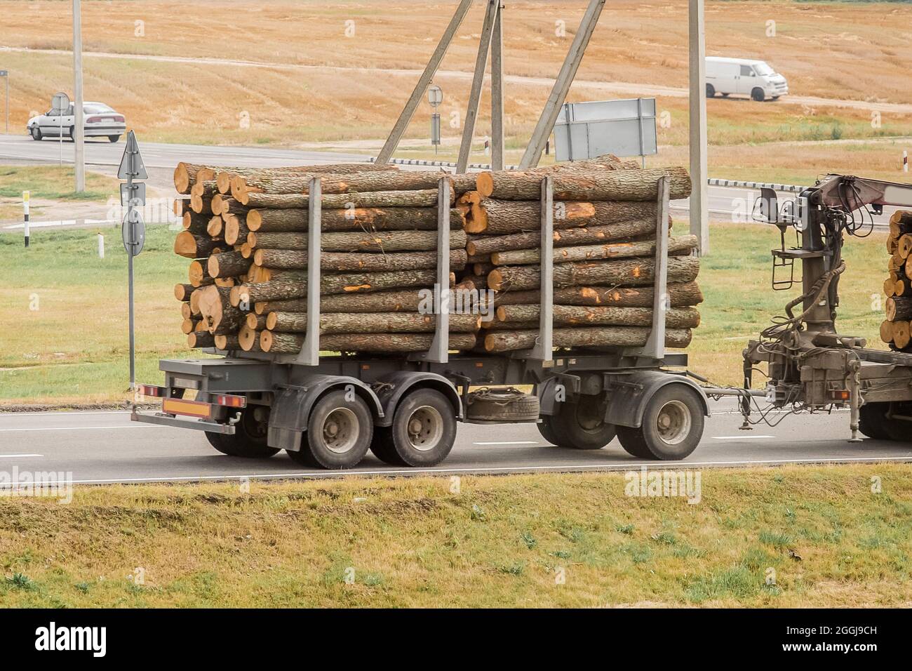The machine transports wooden logs. Cargo transportation of wood and ...