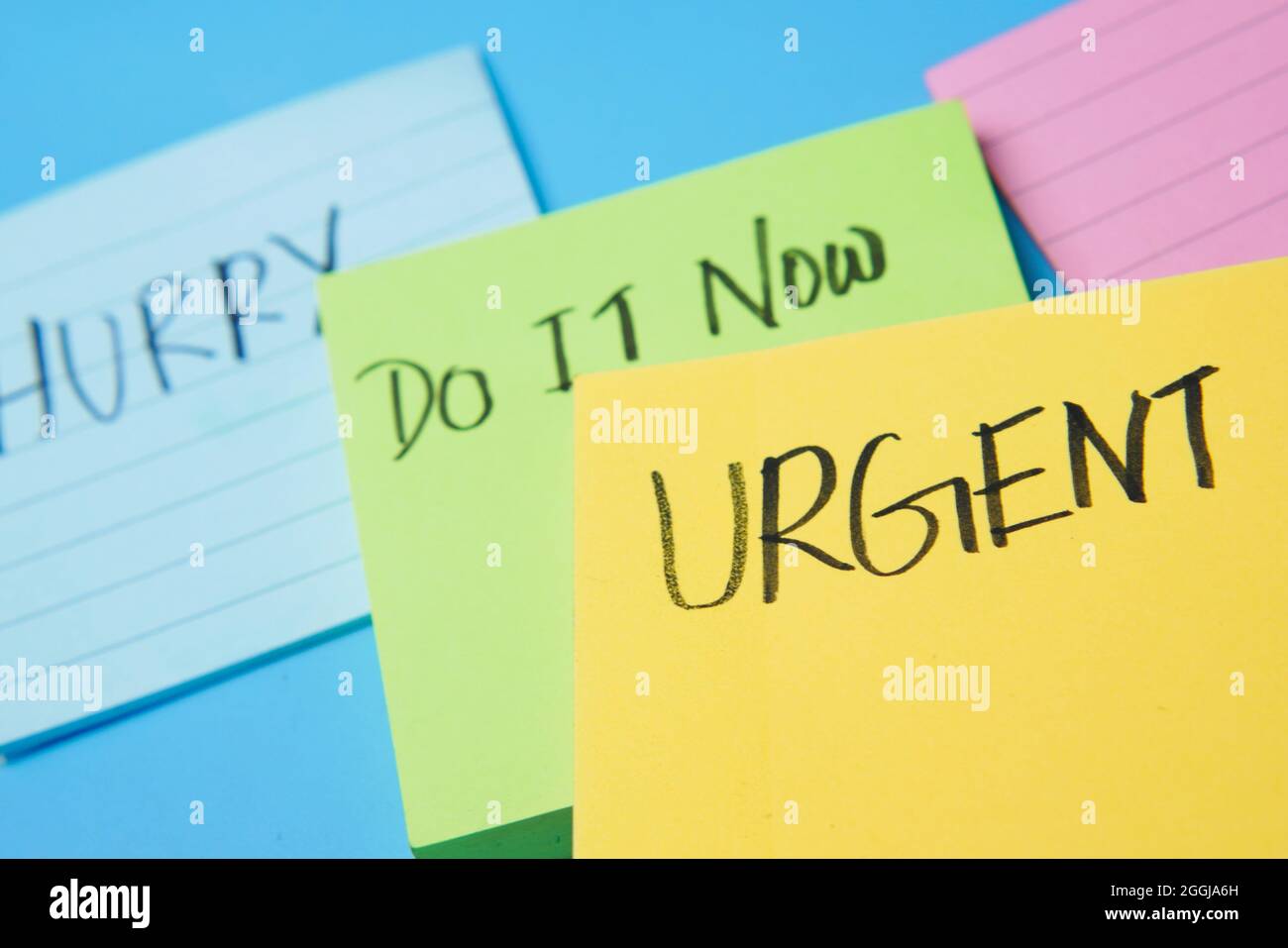 Seal challenge hi-res stock photography and images - Alamy