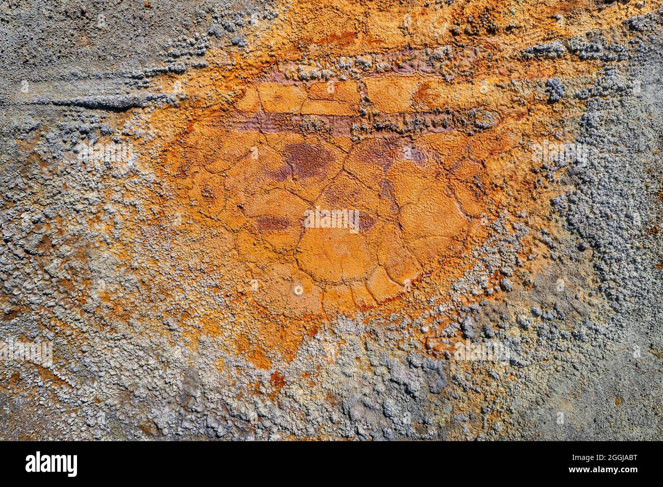 Dried rusty pool with tire tracks and rough grey contaminated land ...