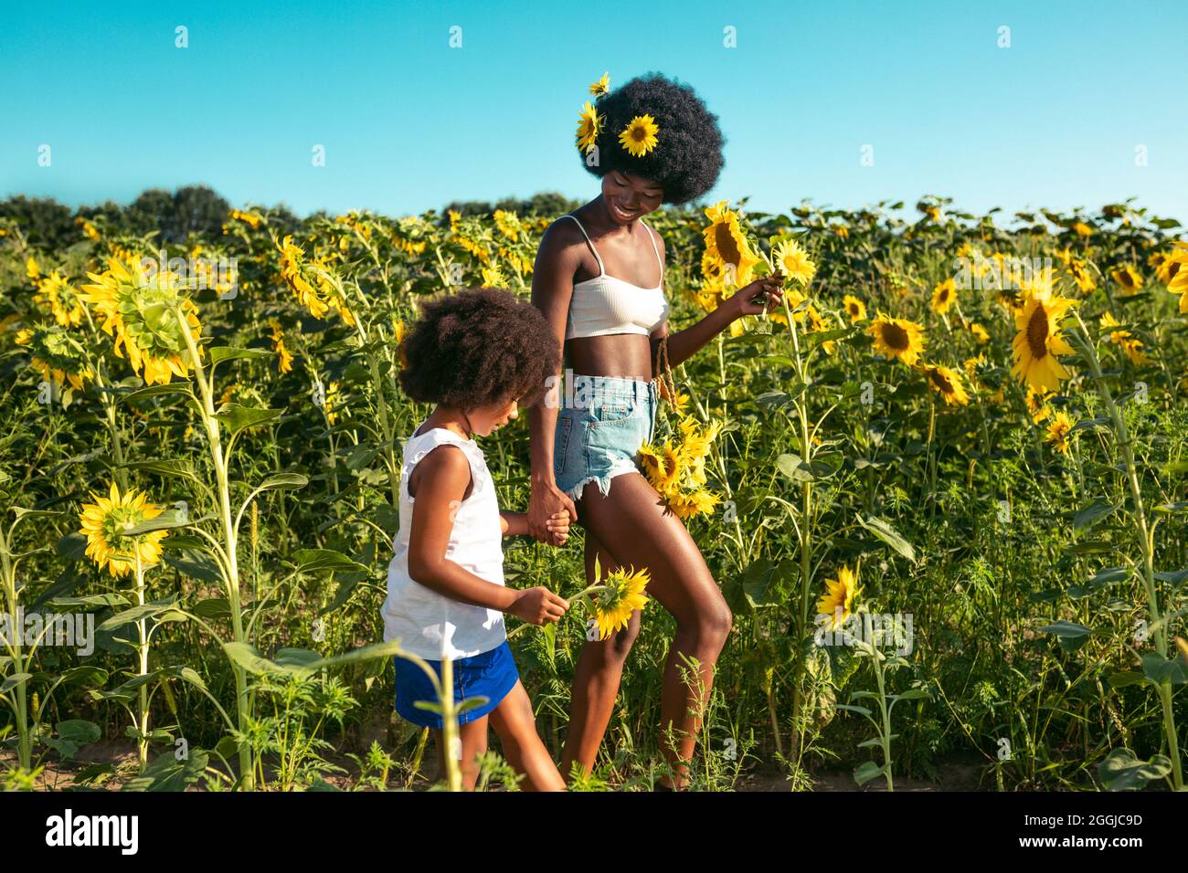 Beautiful afro-american mom and daughter palying and having fun in a sunflowers field Stock ...