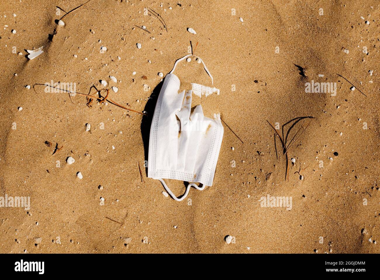 Used face mask on the sand. Covid-19 protection. Environment pollution ...