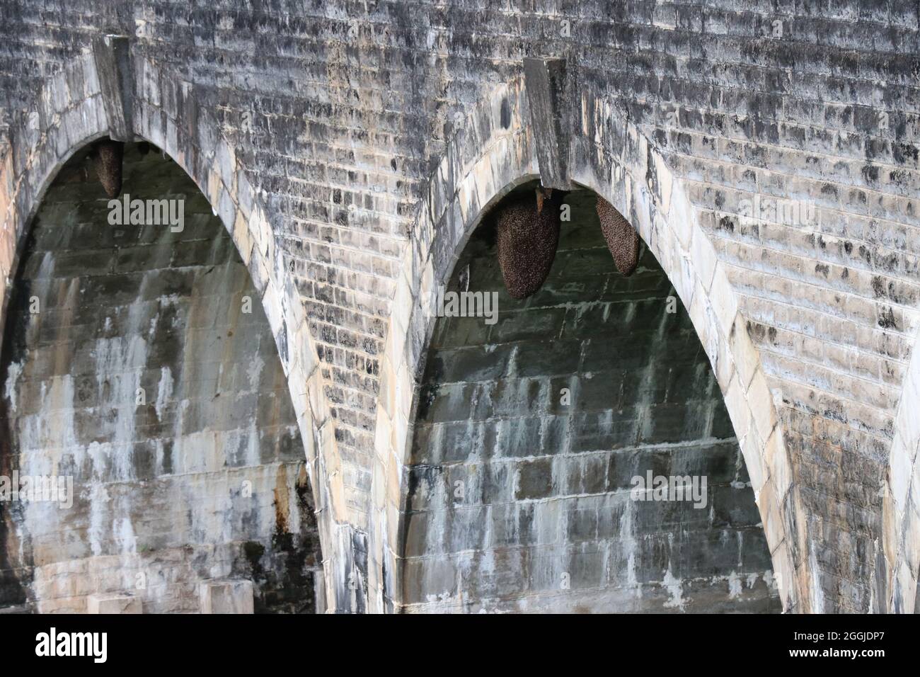 Two archers of nine arch bridge Stock Photo - Alamy