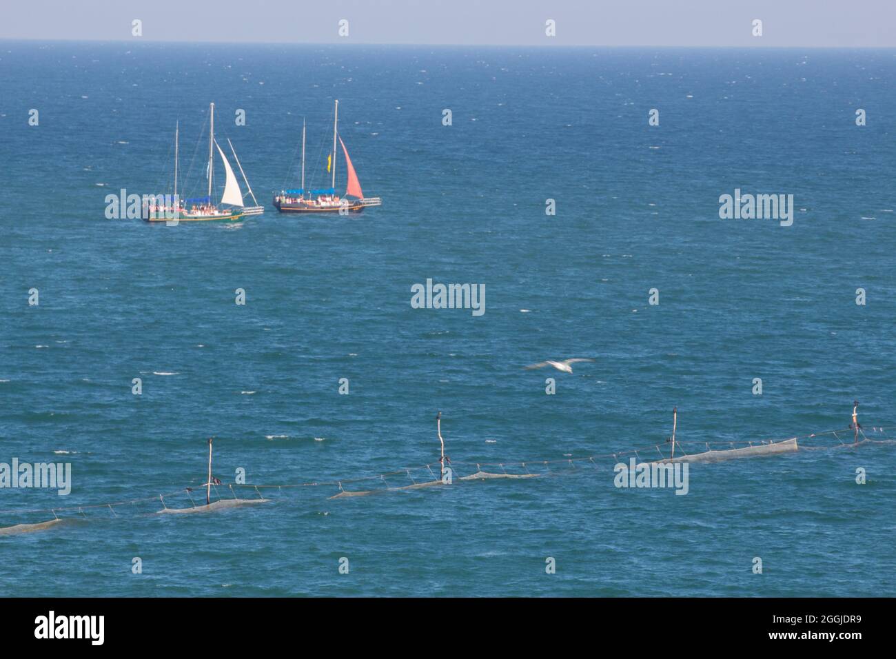 Exploration cruise hi-res stock photography and images - Alamy