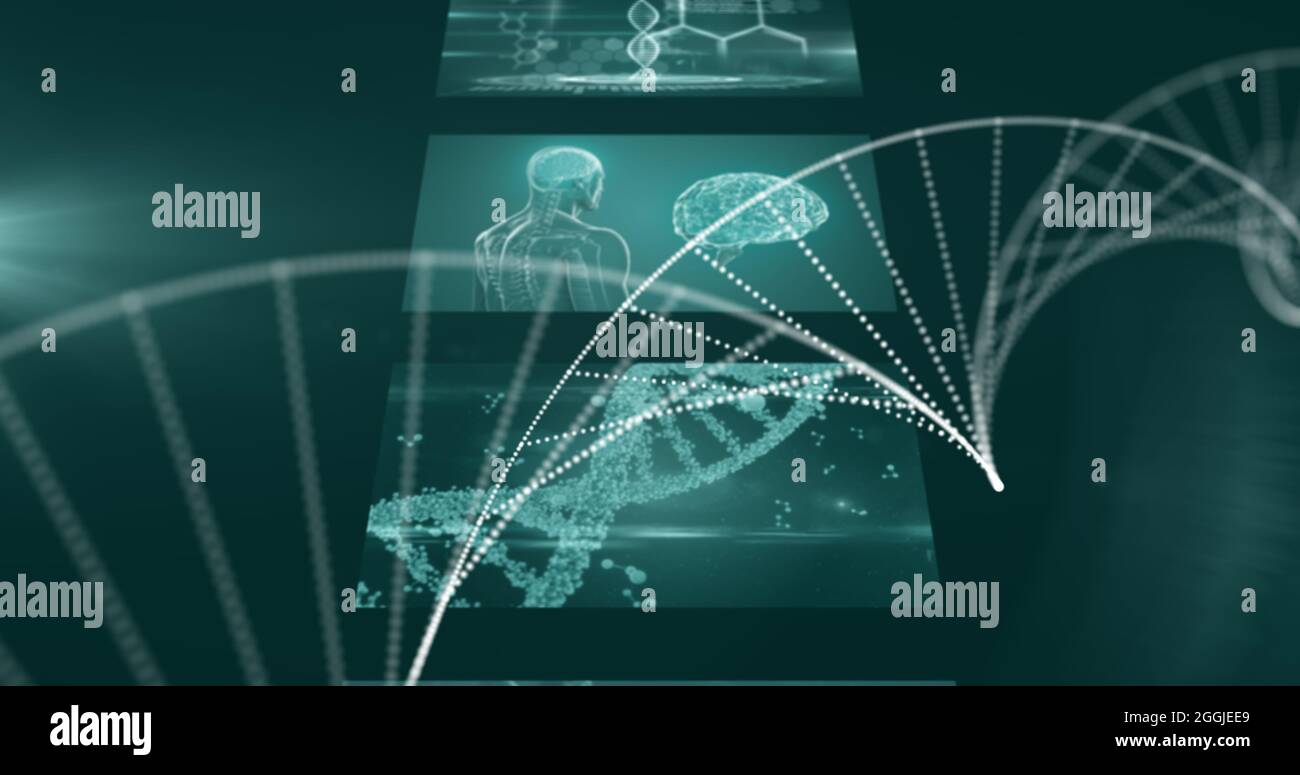 Image of dna spinning and screens with medical data processing Stock Photo - Alamy