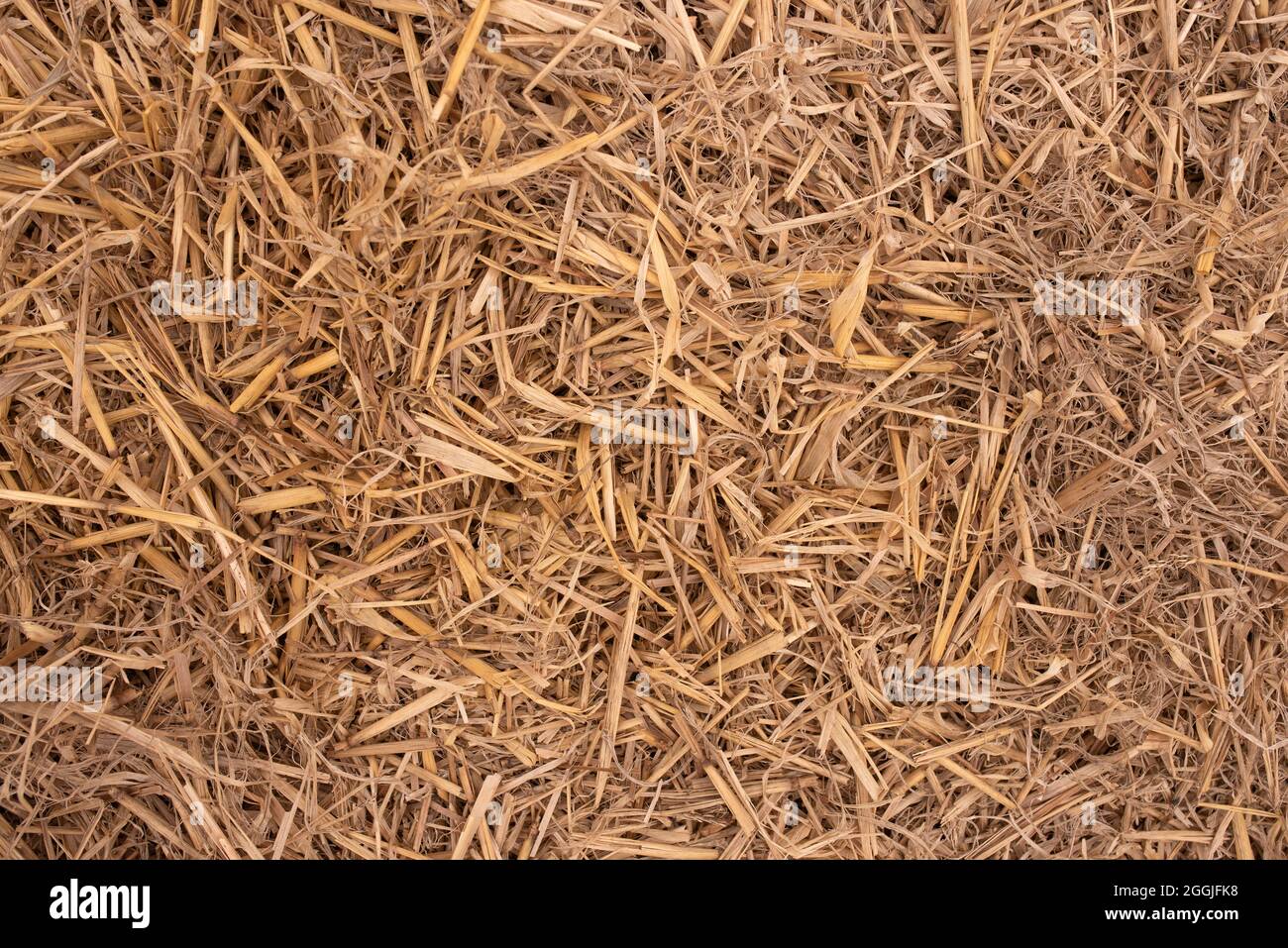 straw background for autumn decoration Stock Photo - Alamy