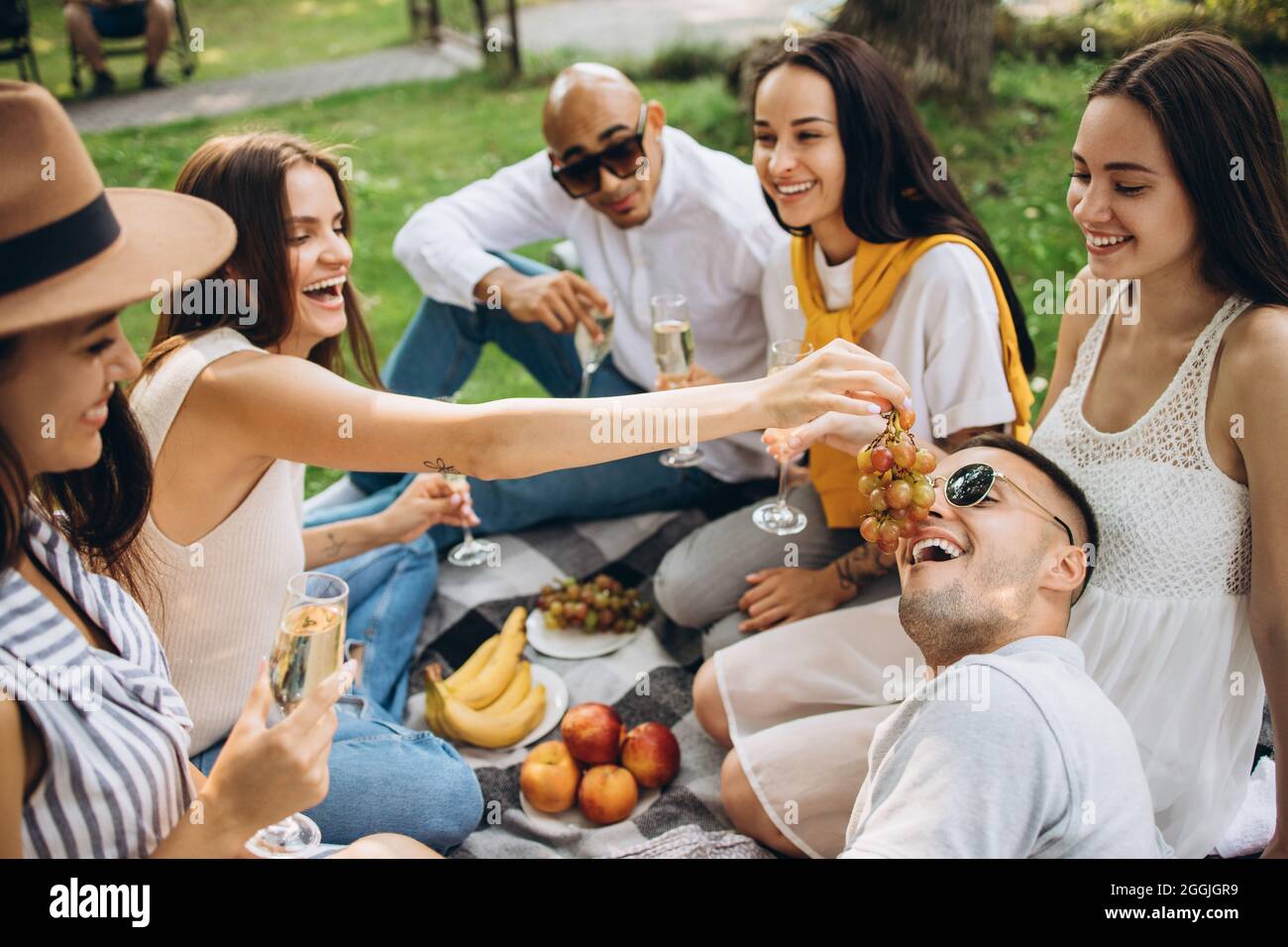 Friends gathering together, having picnic in countryside on bright ...