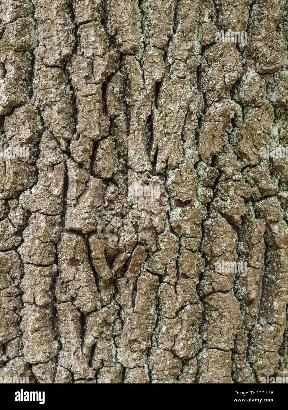 Fractured core hi-res stock photography and images - Alamy