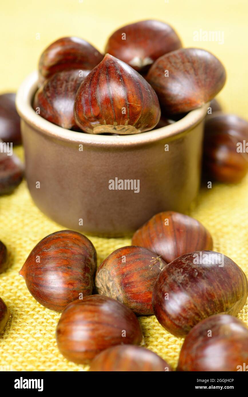 portuguese nuts in ceramic container on table with yellow jute Stock ...